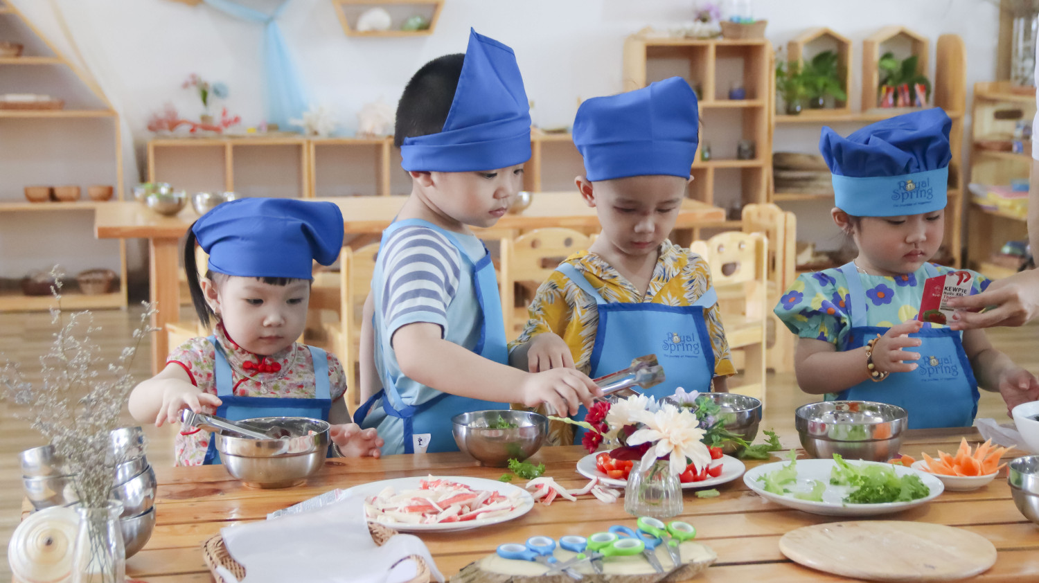 Giới thiệu về trường Royal Spring